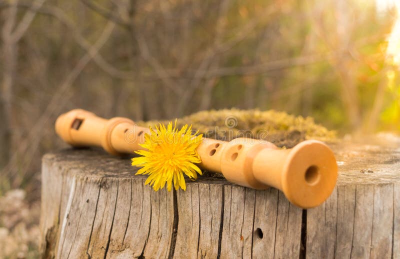 Flute in nature stock photo. Image of outside, outdoors - 70739962