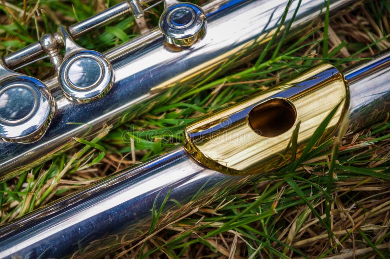 384 Flute Wallpaper Stock Photos - Free & Royalty-Free Stock Photos ...
