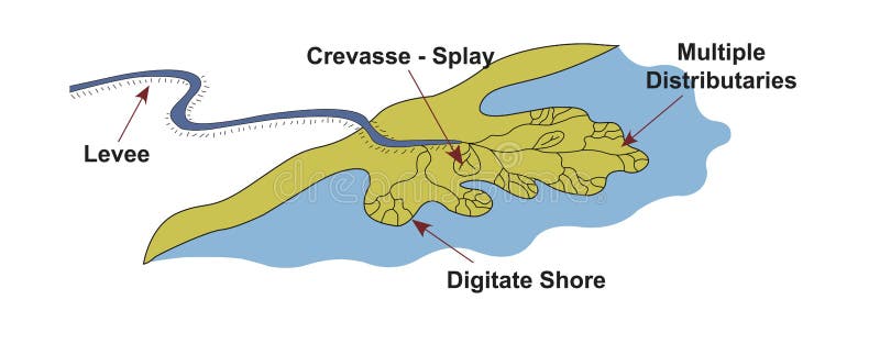 Fluvial Dominated Delta Geology Environment Stock Illustration ...
