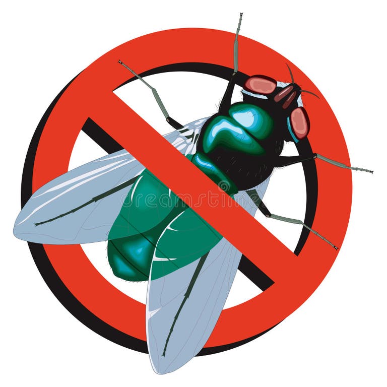 Kill Fly Stock Illustrations – 2,222 Kill Fly Stock Illustrations ...