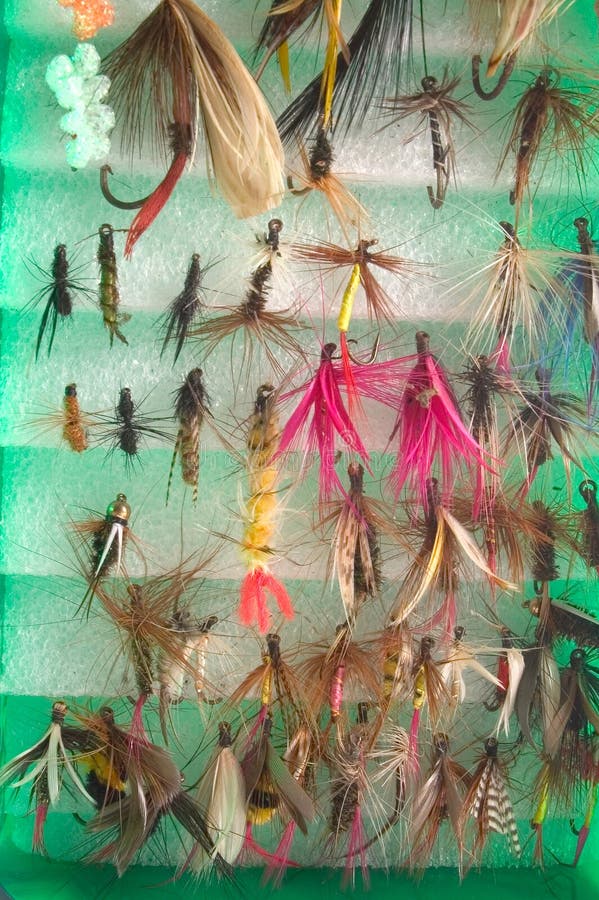 Fly Assortment stock image. Image of feathers, fishing, bait - 33453