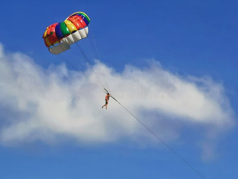 Fly away together editorial stock image. Image of phuket - 204561379