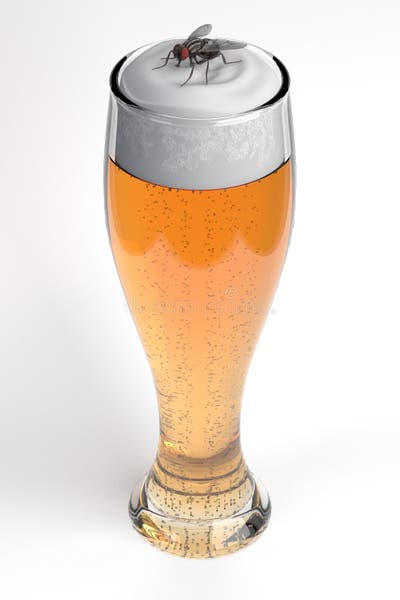 Fly in beer stock illustration. Illustration of beverage - 82527285