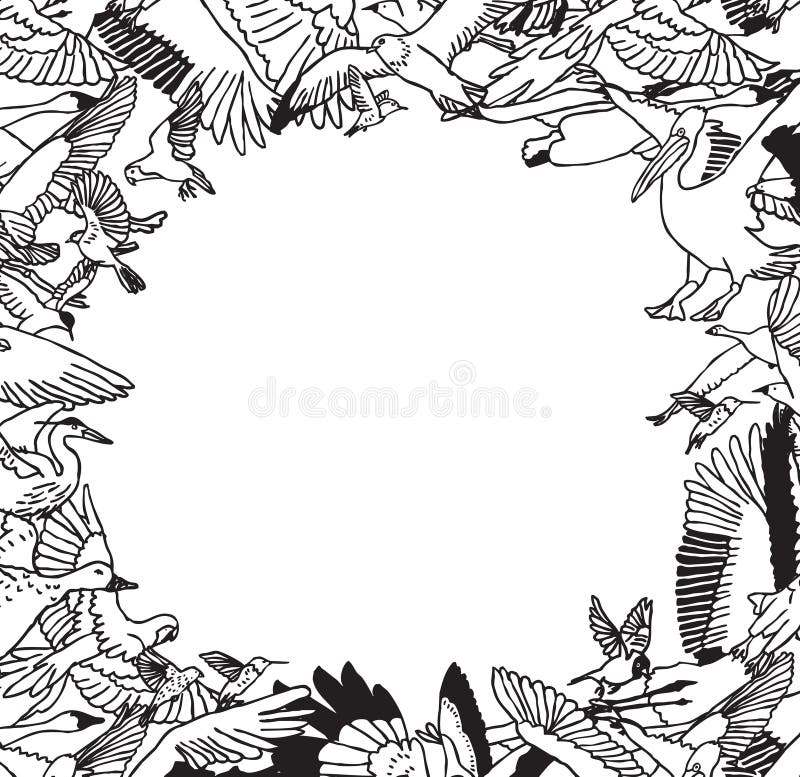 Fly Birds Frame Border Black Isolate on White Stock Vector ...