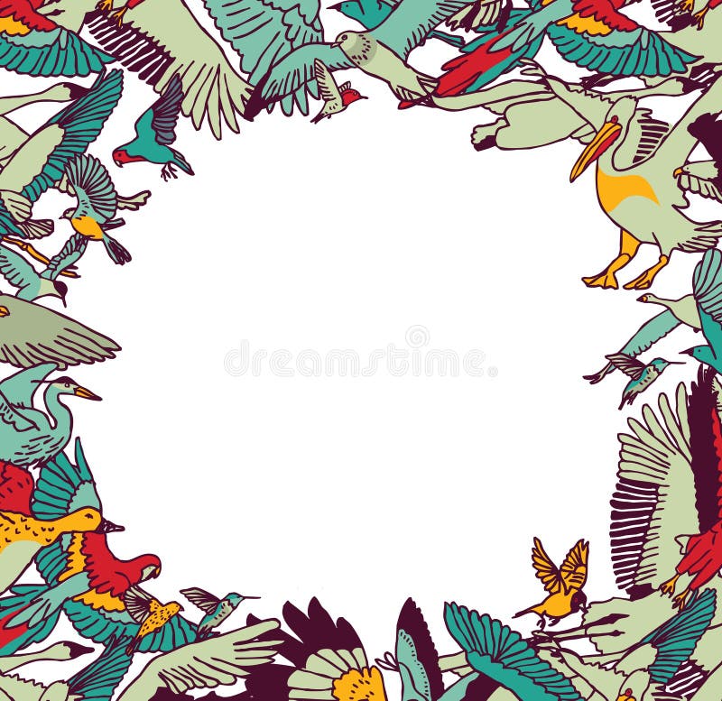 Fly Birds Frame Border Color Isolate on White Stock Vector ...