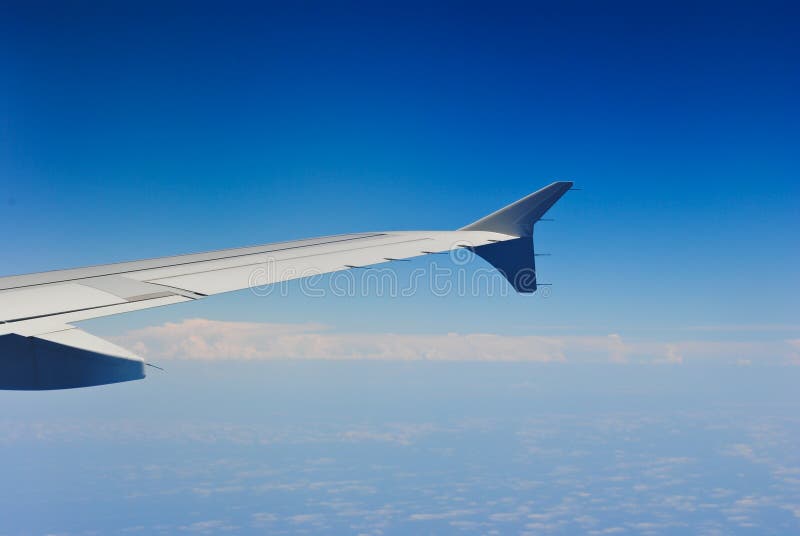 Fly in blue sky stock photo. Image of blue, flight, recreation - 43894010