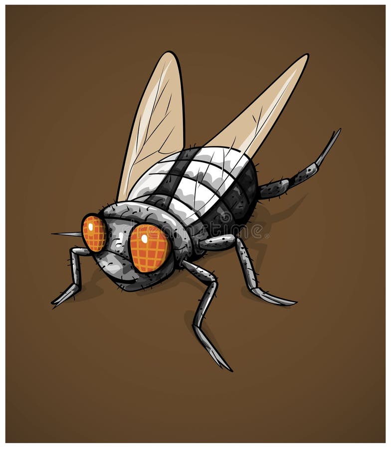 Fly Bug Vector Illustration Stock Vector - Illustration of unhygienic ...