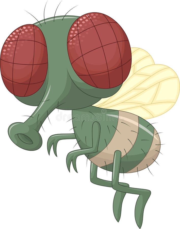 Fly cartoon stock vector. Illustration of nuisance, cartoon - 45750774
