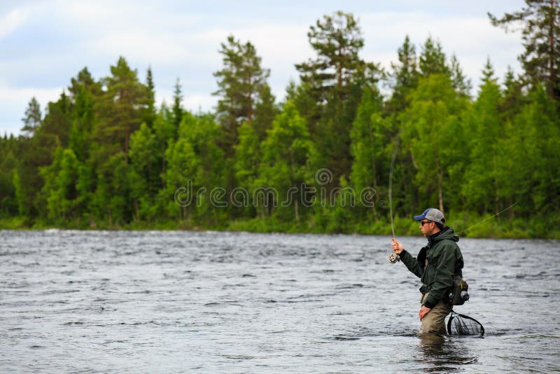 Fly casting on the river editorial image. Image of browntrout - 86408330
