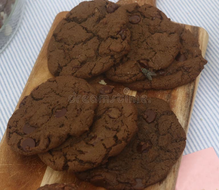 Fly on Chocolate, Chocolate Chip Cookies and Breadboard Stock Photo ...