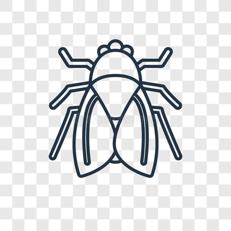 Fly Concept Vector Linear Icon Isolated on Transparent Background, Fly ...