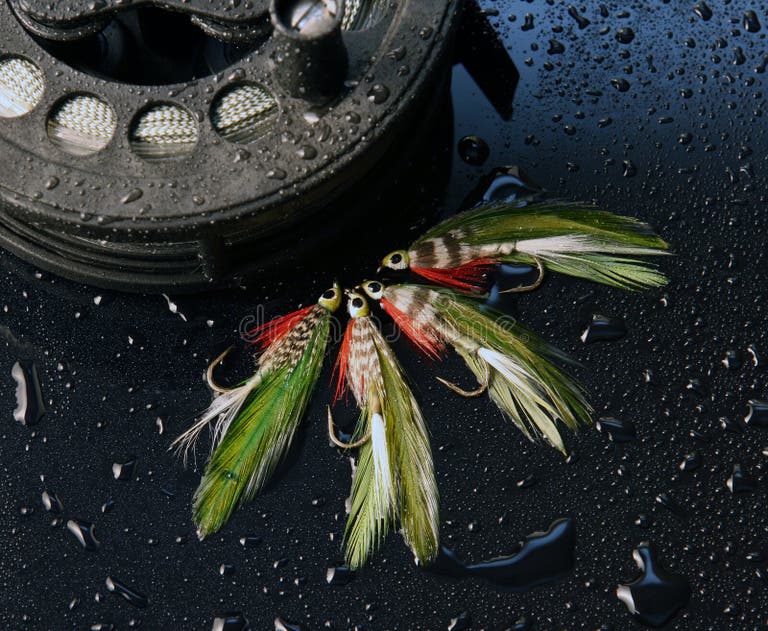 Fly Fish Hooks stock photo. Image of flies, hooks, fish - 1714310