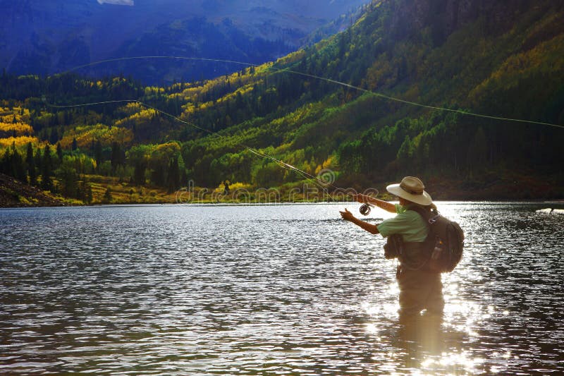 Fly Fisher editorial stock photo. Image of casting, fishing - 25021158