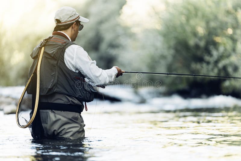 Fly Fisherman Using Flyfishing Rod. Stock Photo - Image of person ...