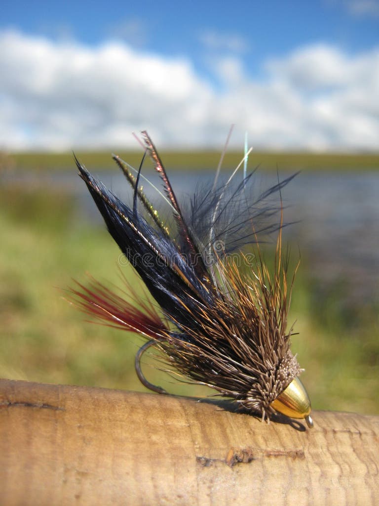 44,244 Fly Fishing Stock Photos - Free & Royalty-Free Stock Photos from ...