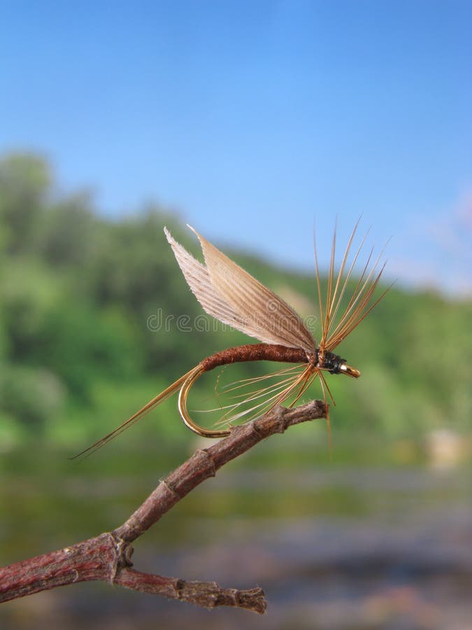 Fly fishing stock photo. Image of bait, alaska, early - 15537562