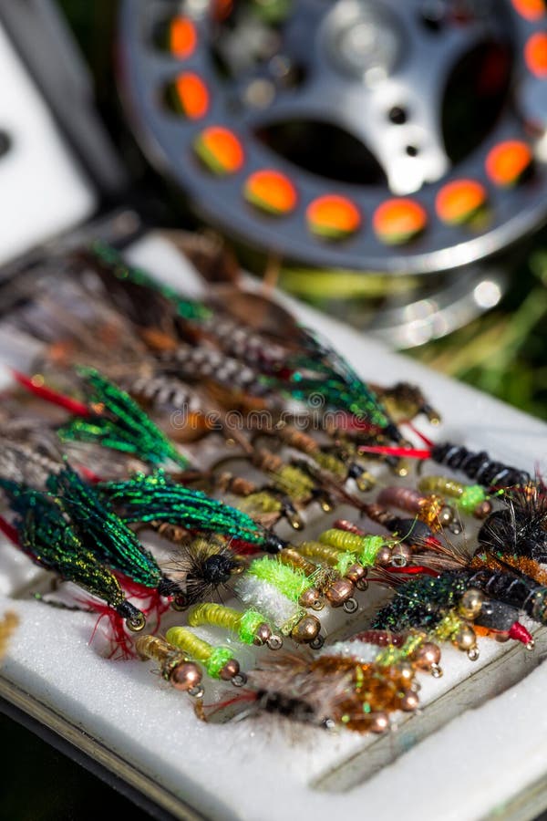 Fly Fishing Bugs and Road with Real Stock Image - Image of sunday ...