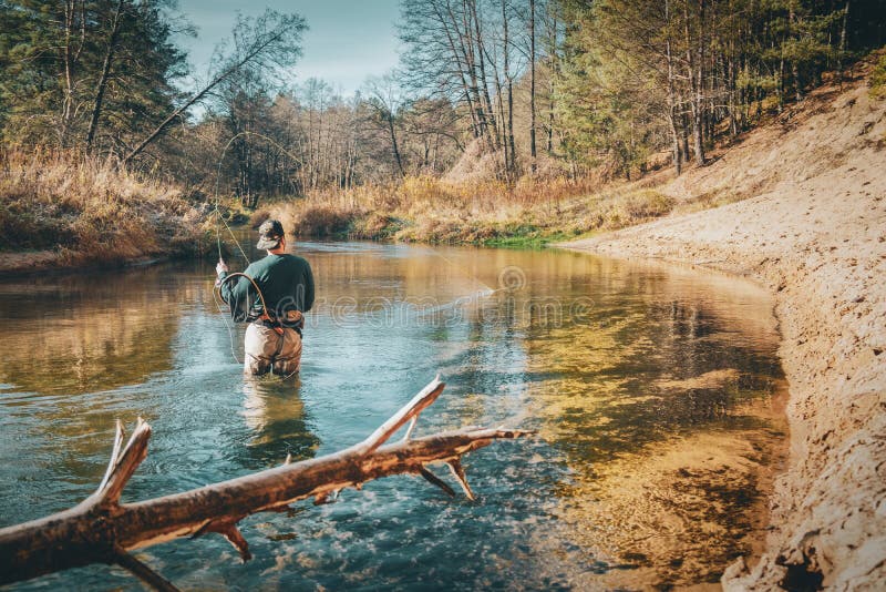 Flyfishing in Forest during Eco-tourism Stock Photo - Image of catch ...