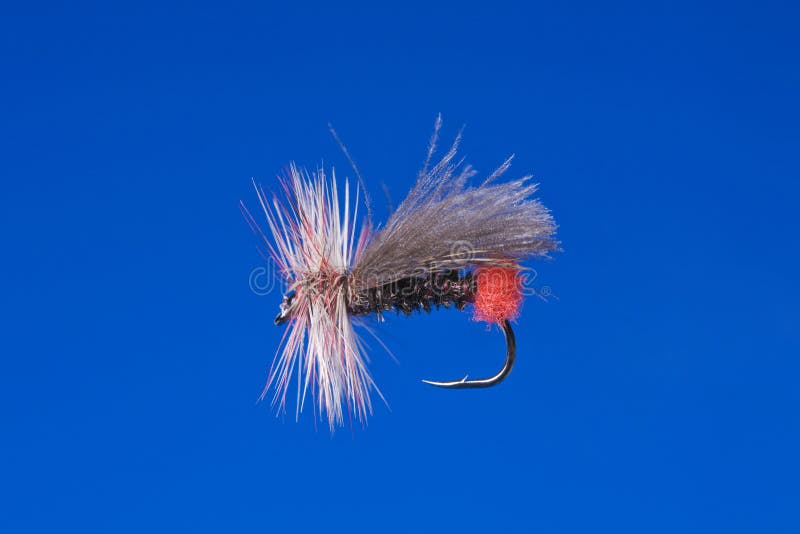 Fly Fish Hooks stock photo. Image of flies, hooks, fish - 1714310