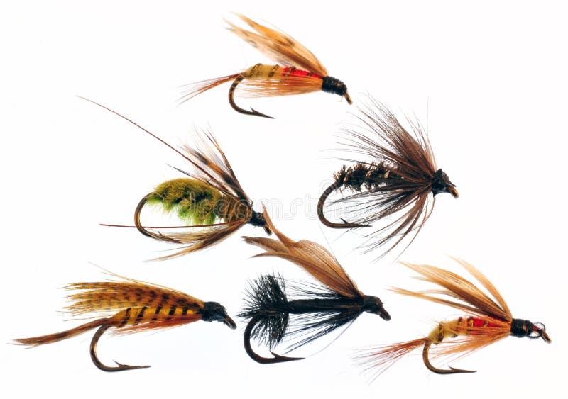 Fly fishing lures stock photo. Image of hairy, river, silver - 4825820