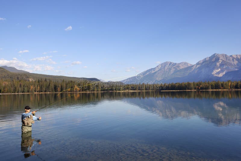 Fly Fishing in Rocky Mountains, Alberta, Canada Stock Photo - Image of ...