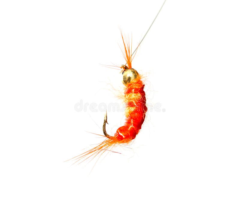 Fly-fishing on White Background Stock Photo - Image of nature, hook ...