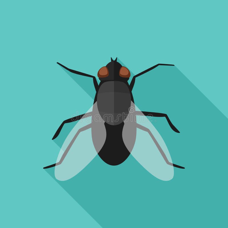 Fly Flat Icon with Long Shadow Stock Vector - Illustration of hairy ...