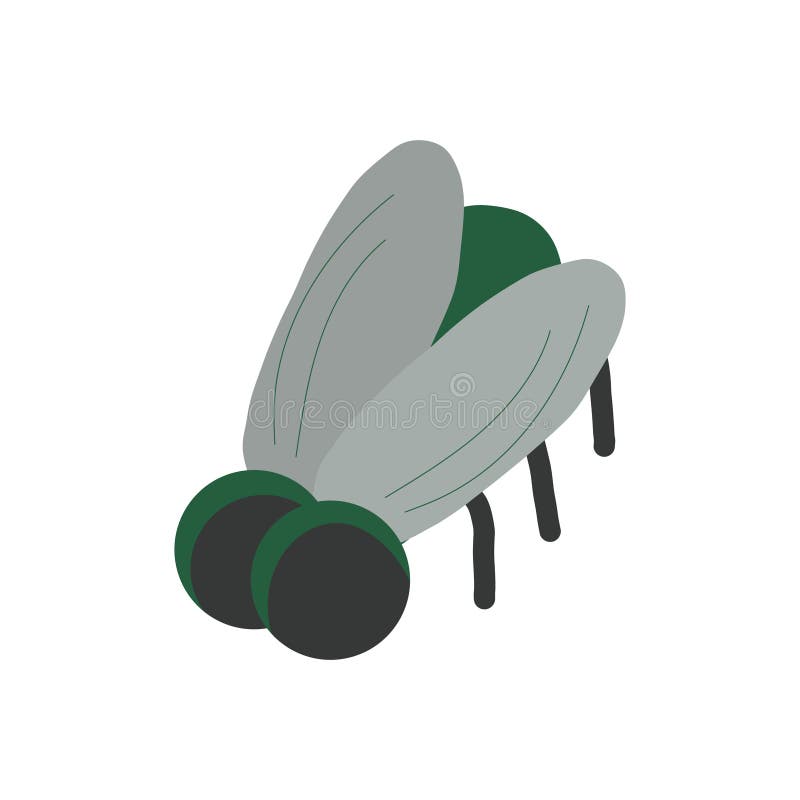 Fly Hand Drawn. Icon, Vector Design Element. Insect. Stock Vector ...