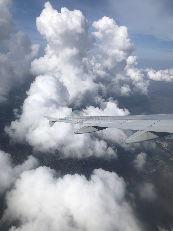 Fly high stock image. Image of wing, high, surrounded - 261792523