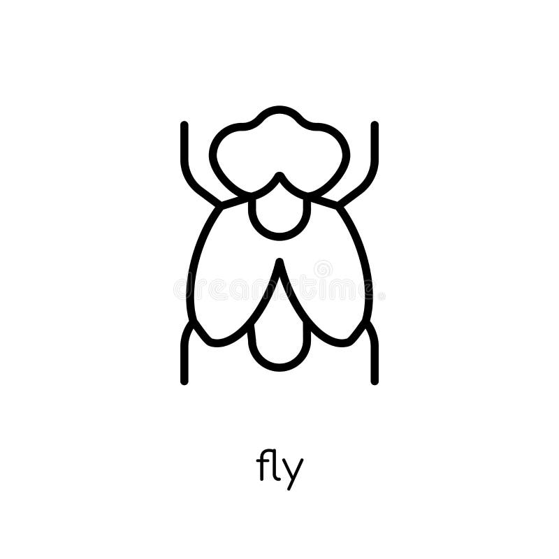 Fly Icon. Trendy Modern Flat Linear Vector Fly Icon on White Background ...