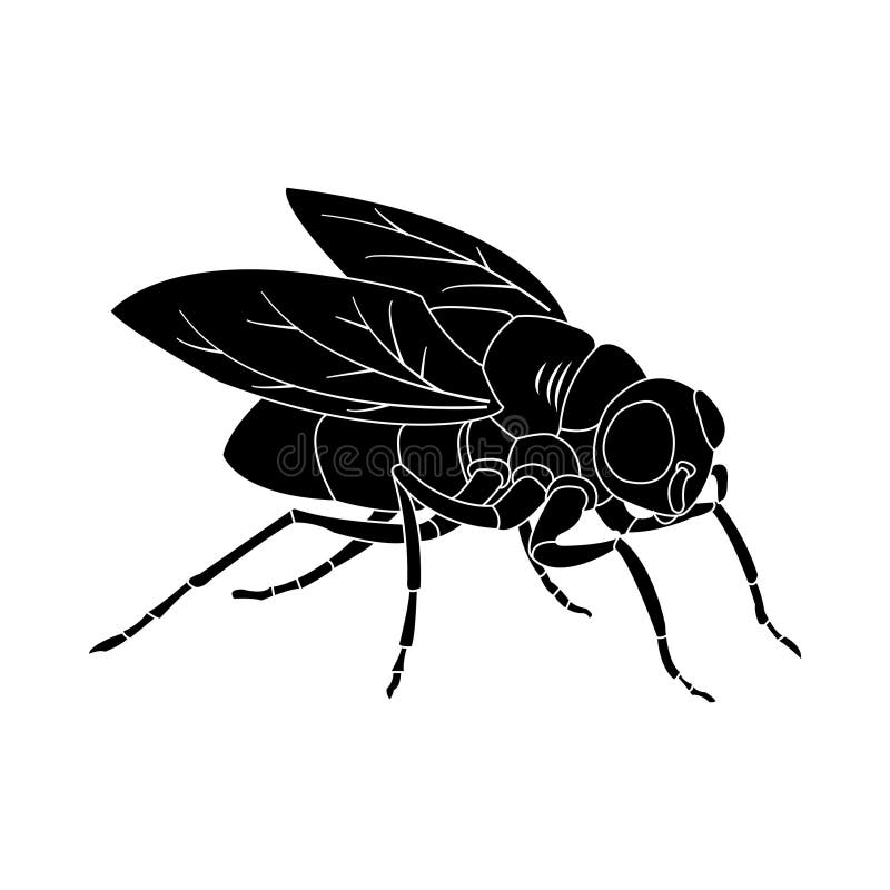 Fly icon vector stock vector. Illustration of beetle - 309239265