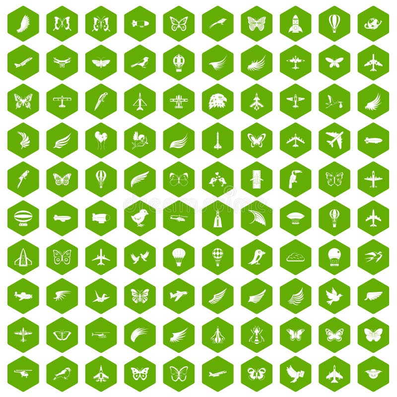 100 Fly Icons Hexagon Green Stock Vector - Illustration of space ...