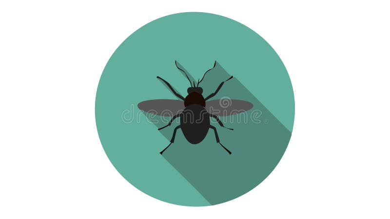 Fly Insect Bug Pest Nature Wings Flying Icon, Vector Design Generative ...