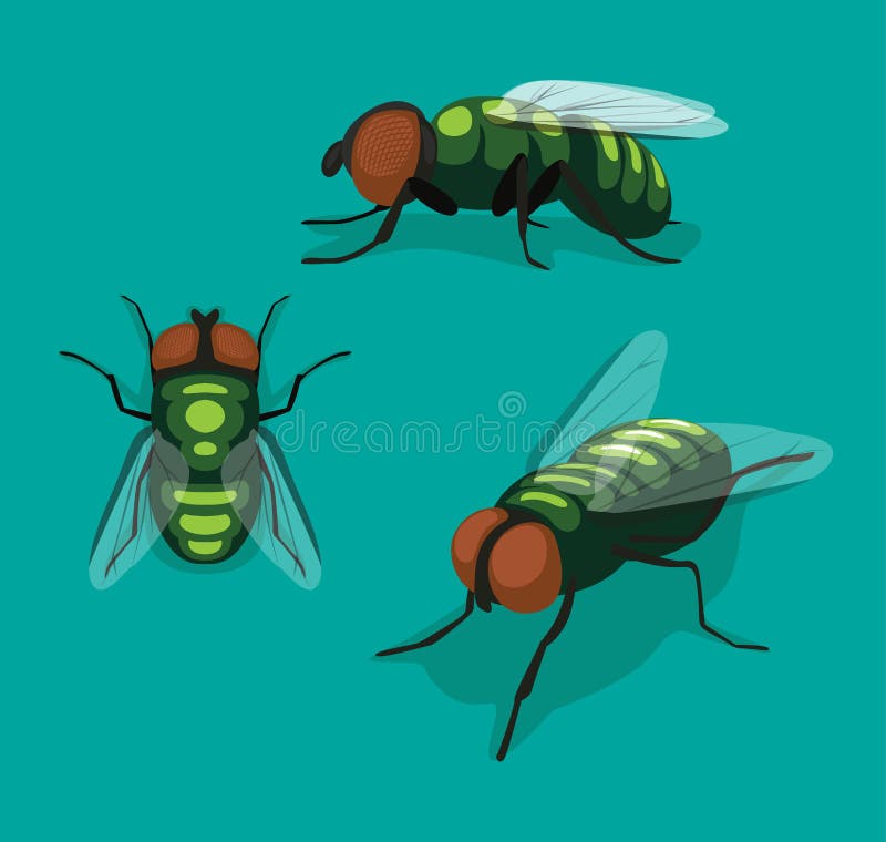 Fly Insect Cartoon Vector Illustration Stock Vector - Illustration of ...