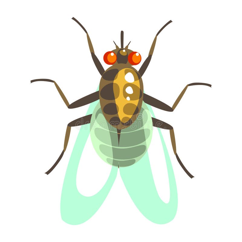 Cartoon Antenna Feeler Stock Illustrations – 218 Cartoon Antenna Feeler ...