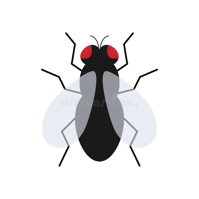 Sitting Housefly Stock Illustrations – 131 Sitting Housefly Stock ...