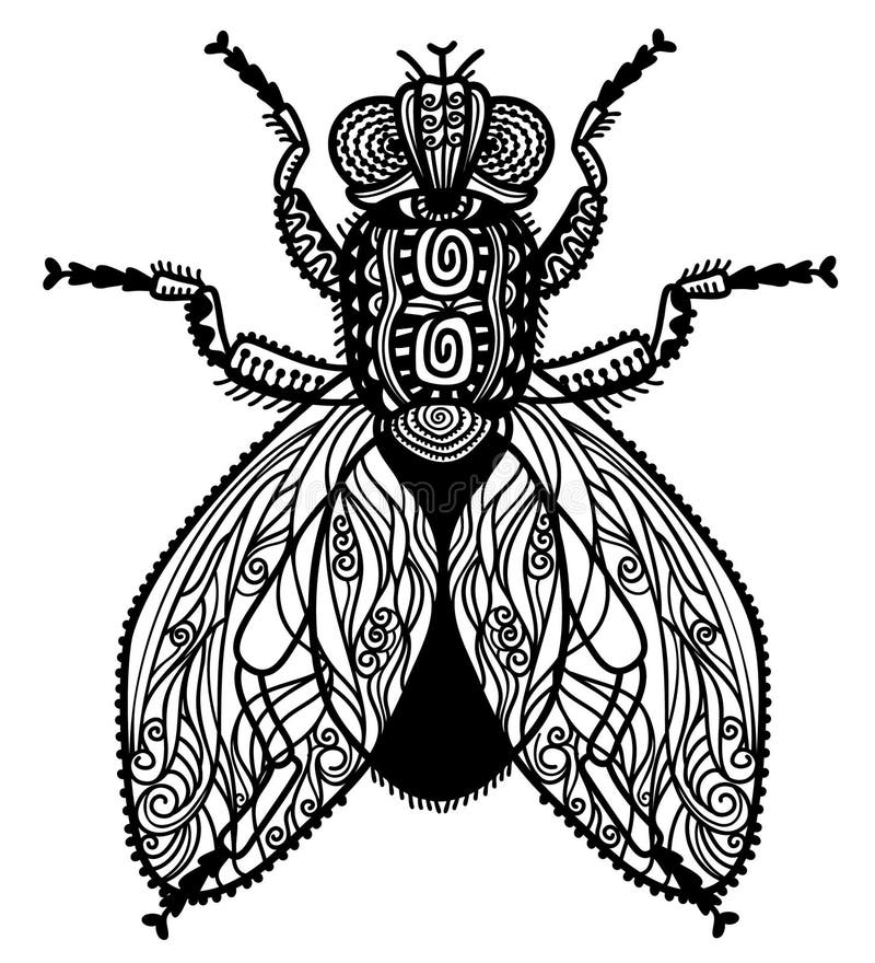 Fly Insect Vector Symbol. Vector Fly Illustration with Abstract ...