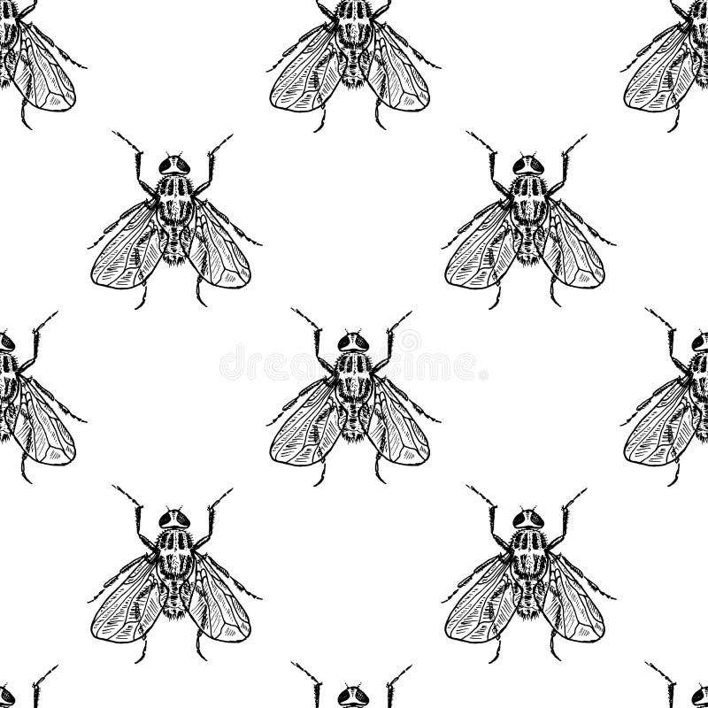 Disgusting Insects Stock Illustrations – 217 Disgusting Insects Stock ...