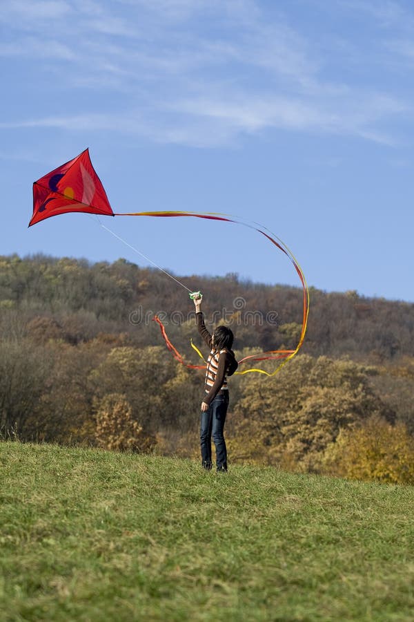 Fly A Kite Picture. Image: 6951676