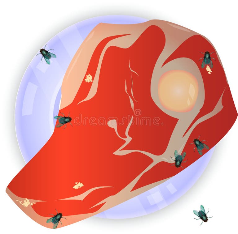 Rotten Meat Stock Illustrations – 545 Rotten Meat Stock Illustrations ...
