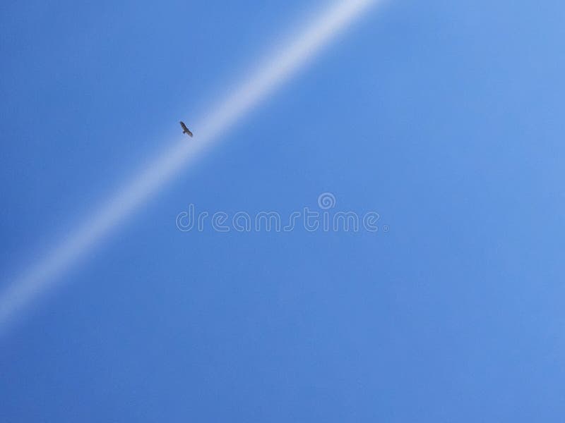 Fly into the Light To See the Other Side Stock Image - Image of sode ...