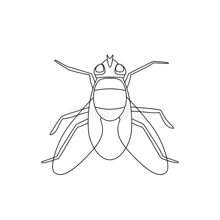 Fly Drawing Stock Illustrations – 176,630 Fly Drawing Stock ...