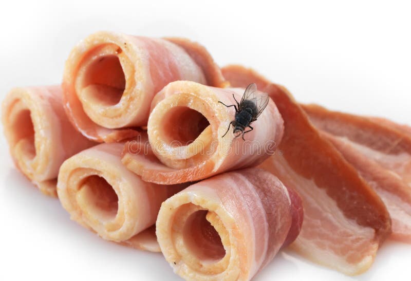 Fly on meat stock photo. Image of hygiene, small, insect - 32966832