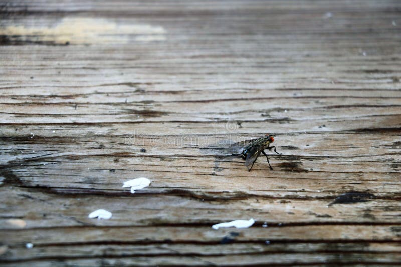 1,674 Texturen Photos - Free & Royalty-Free Stock Photos from Dreamstime