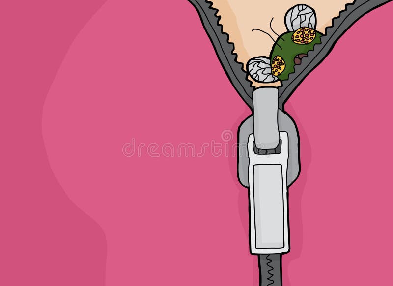 Fly in Open Zipper stock illustration. Illustration of european - 51051211