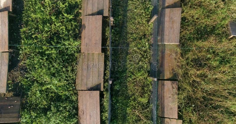 Fly Over a Snail Farm. Snail Farm Aerial View. Snail Farm Top View ...