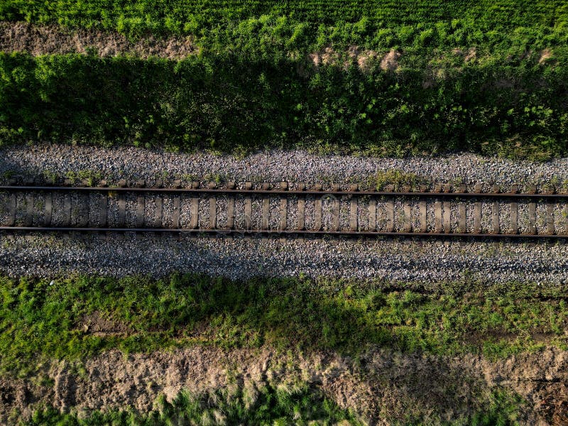 Texture Modellers Stock Photos - Free & Royalty-Free Stock Photos from ...