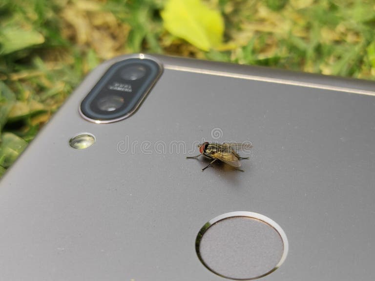 Mobile phone stock photo. Image of flys, wallpaper, photoshoot - 168908754