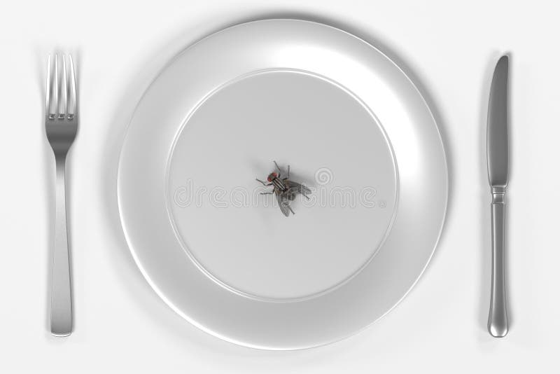 Fly on plate stock illustration. Illustration of dead - 82674617