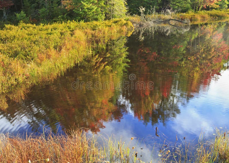 Fly Pond Autumn Reflections Stock Image - Image of landscape, state ...